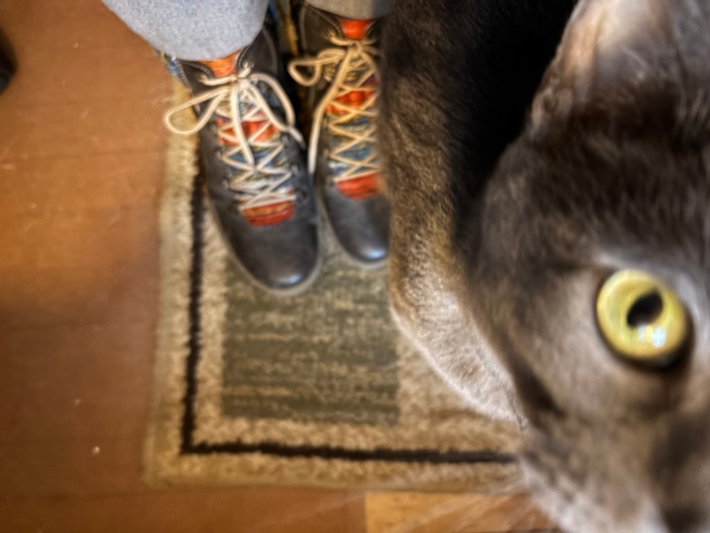 I Can Be Snazzy Sometimes Friday Round-Up - Red's Wrap